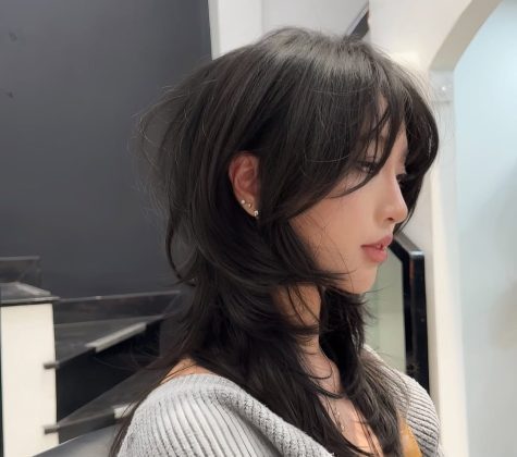 38 Stunning Wolf Cut Hairstyles for Women to Elevate Your Look ...